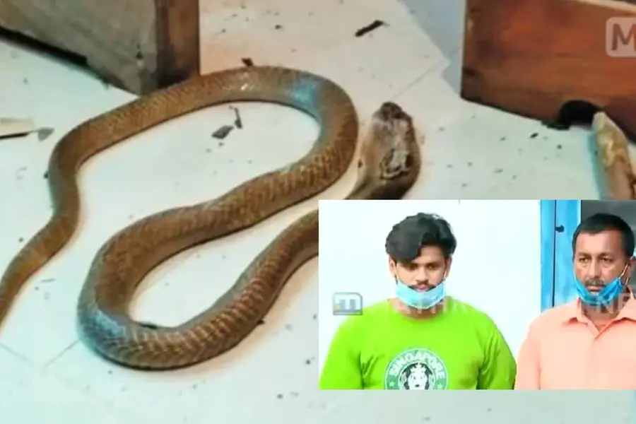 Uthra murder: Statement of Suresh who sold snakes to Suraj turned ...