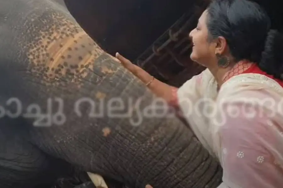 After baby cobra, actress Praveena makes friendship with jumbo; watch ...