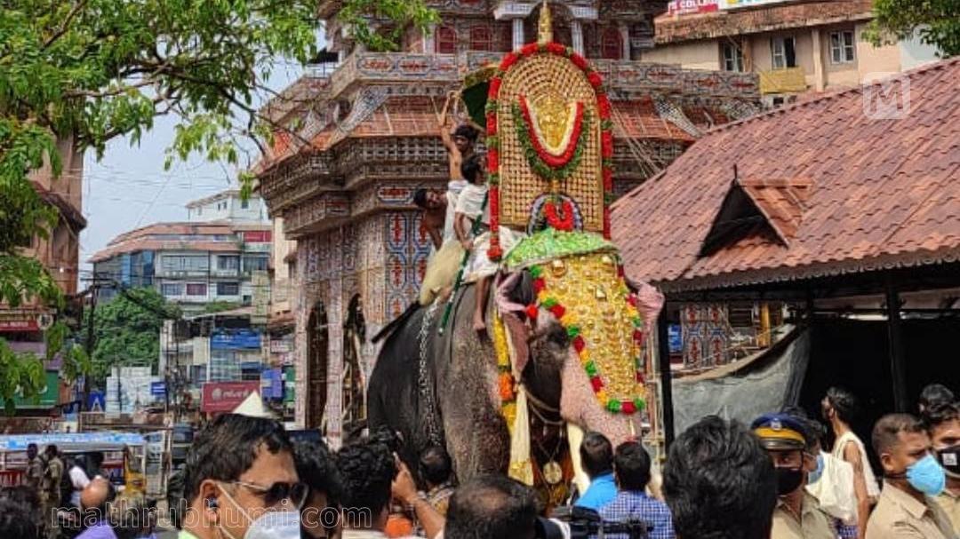 Thrissur Pooram: Tusker Sivakumar carries idol of Goddess ...