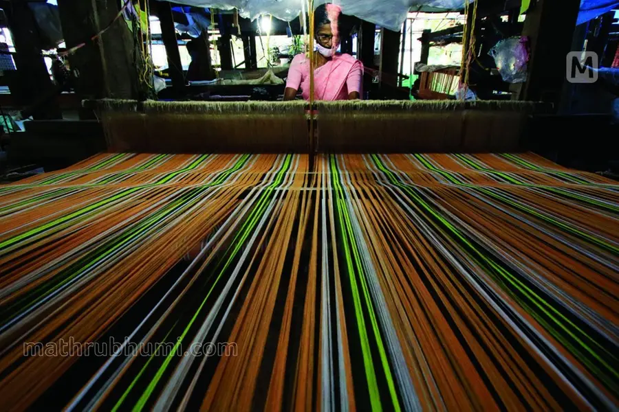 Budget unveils scheme for setting up mega textile parks in India