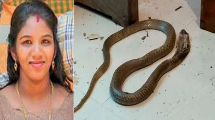 Uthra murder case: Court to pronounce verdict today