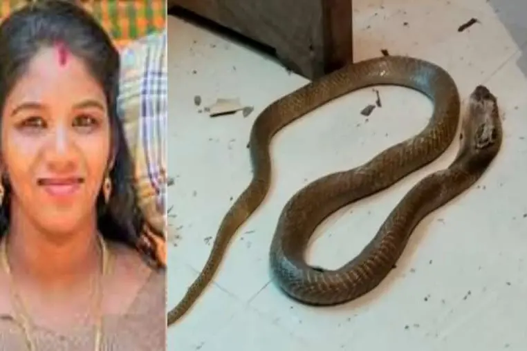 Doctors say Uthra’s snakebite unnatural | Mathrubhumi English