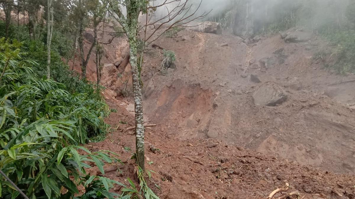 Pettimudi landslide: 17 bodies recovered, search operations underway ...