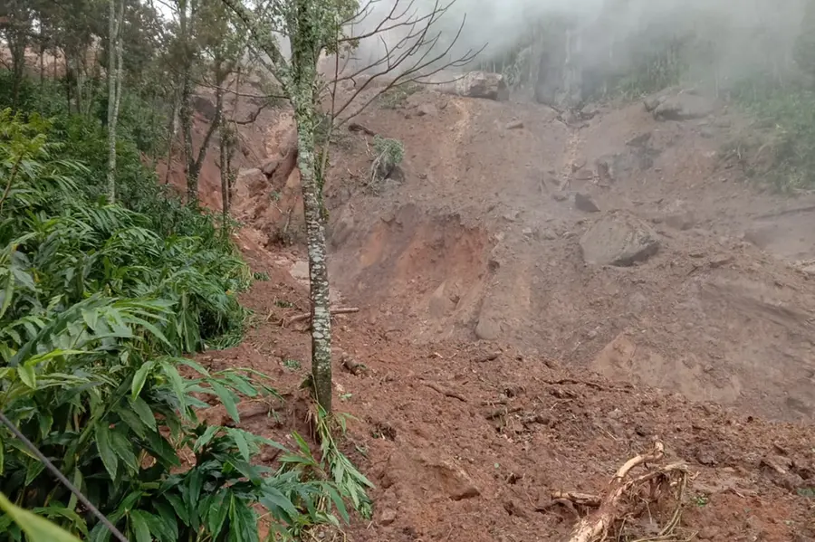 Pettimudi landslide: 17 bodies recovered, search operations underway ...