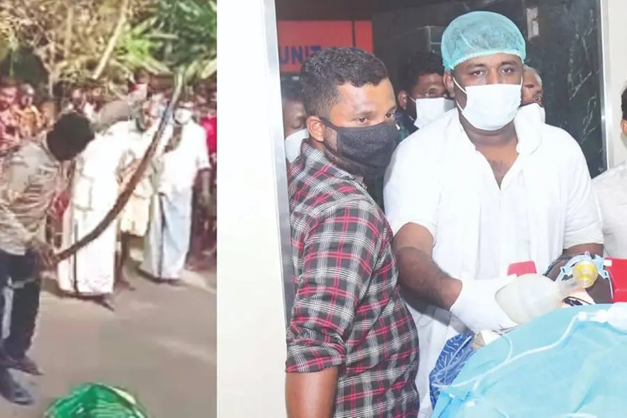 ചോദ്യങ്ങളോട് പ്രതികരിച്ച് വാവ സുരേഷ്, തന്നെ തിരിച്ചറിഞ്ഞുവെന്ന് മന്ത്രി ...