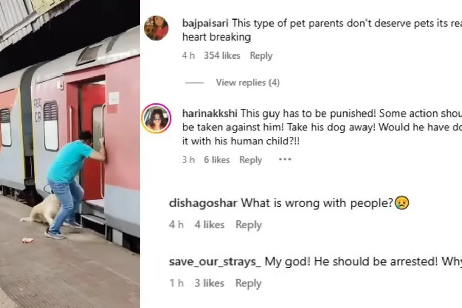 'Arrest him!’ Brickbats hit pet owner after disturbing video of dog ...