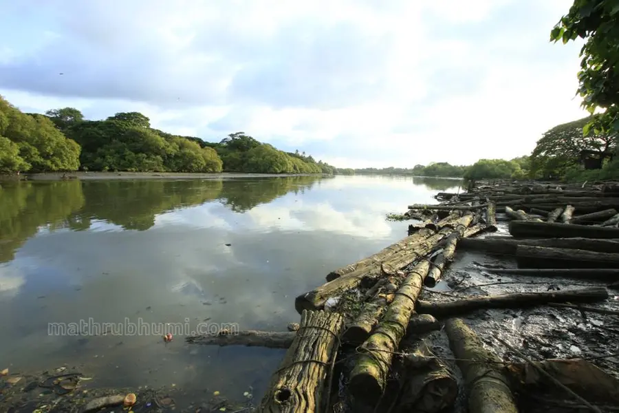 Kallayi river cleanup: Over 9,000 cubic metres of mud removed in first phase
