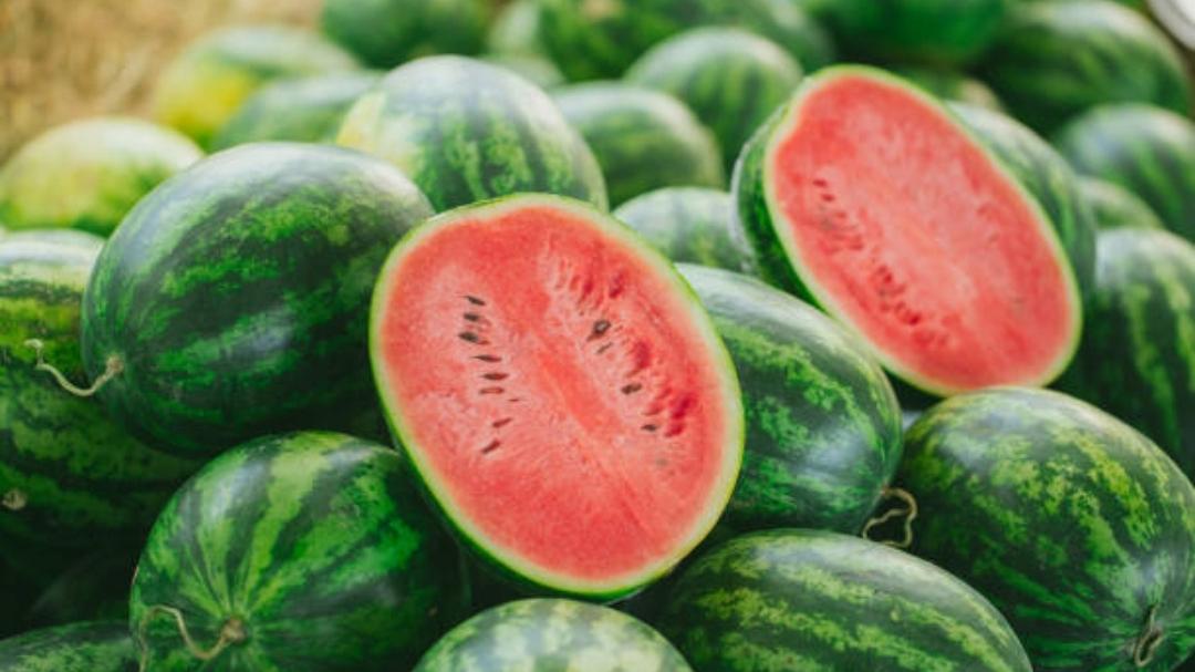 Avoid adulterated watermelons: How to choose the best for summer
