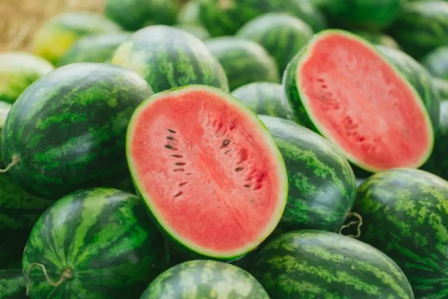 Avoid adulterated watermelons: How to choose the best for summer