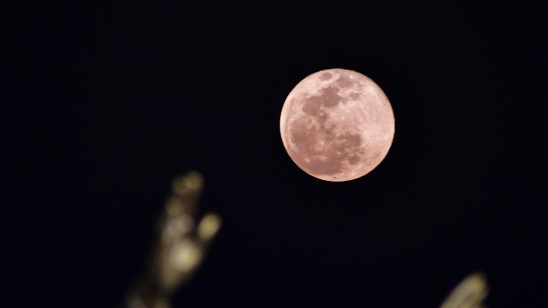 India to witness the stunning ‘Pink Moon’ tonight: Here’s everything ...