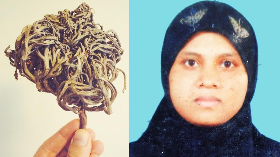 The myth of 'Rose of Jericho': How superstition is fueling unsafe home ...