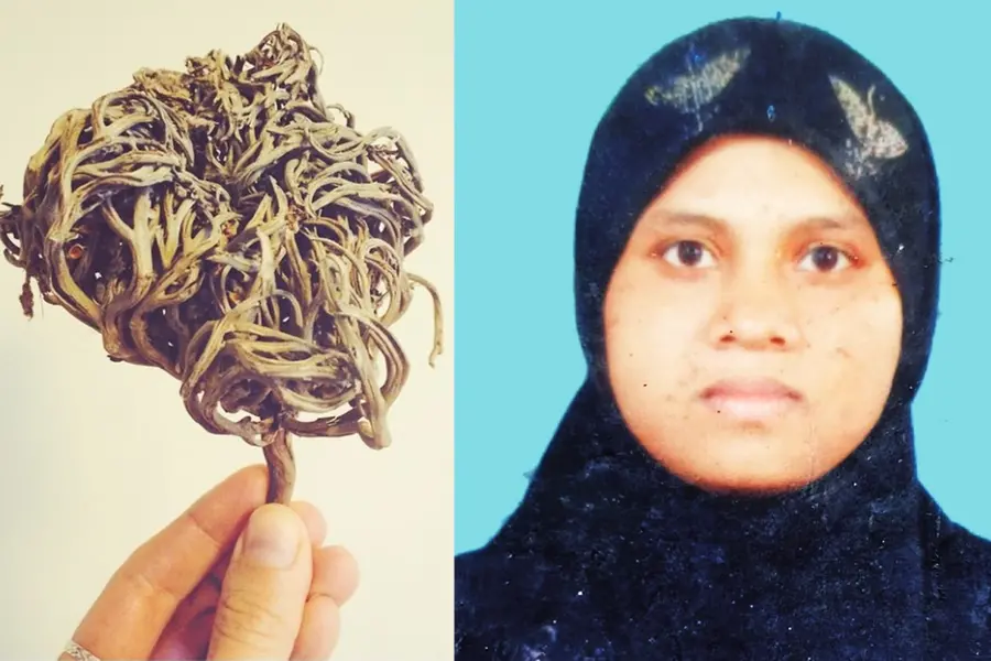 The myth of 'Rose of Jericho': How superstition is fueling unsafe home births in Kerala