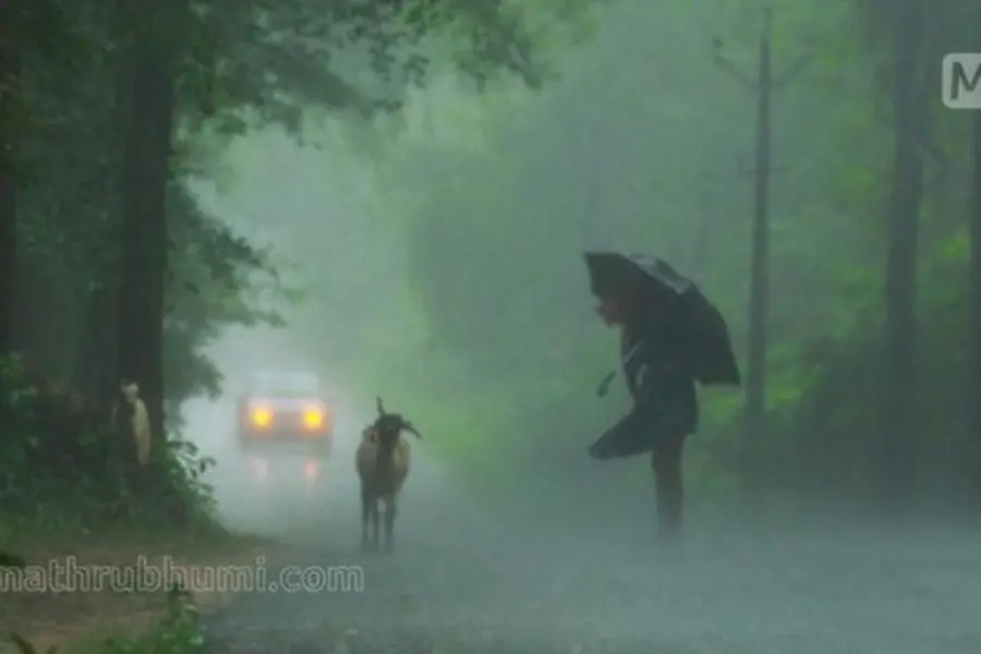 Red alert in six districts as heavy rainfall batters Kerala; IMD issues ...