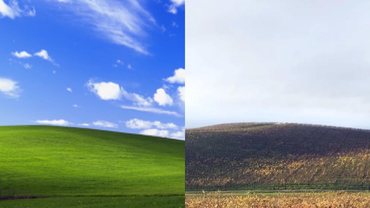 Remember the green Windows XP wallpaper? Here's what the world's most ...