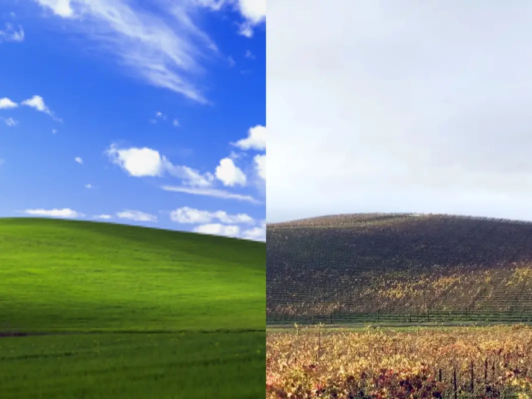 Windows Xp Landscape