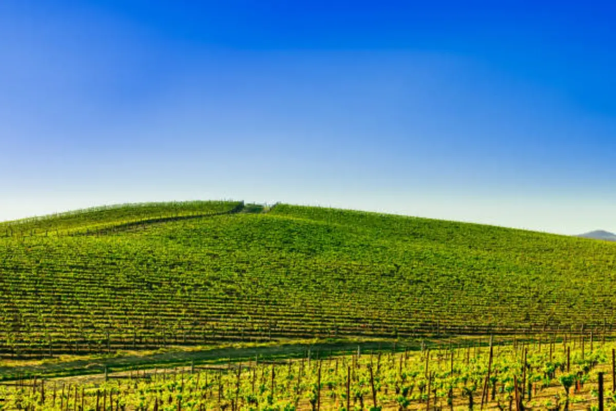 Wallpapers Win Xp