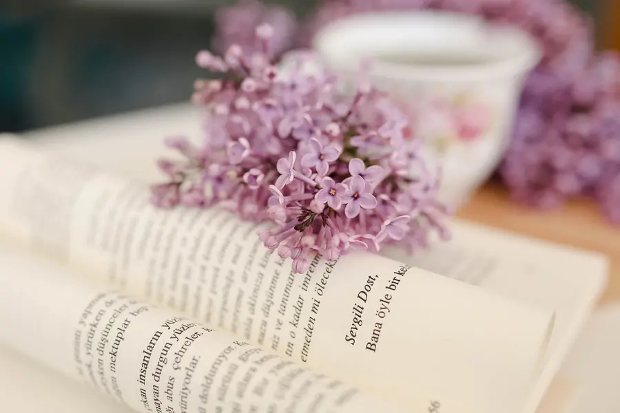 Word of the Day, 26 May 2025: ‘Awed’ | Mathrubhumi English