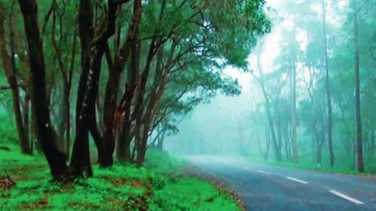 Heavy monsoon rains force closure of Ponmudi, Munnar and other top tourist spots in Kerala