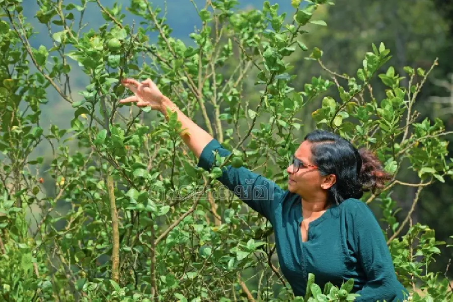 ഇത് കൈവിട്ട കളിയാണെന്ന് നാട്ടുകാർ, കൗൺസിലിങ്ങുമായി വീട്ടുകാർ; പൊരുതി ...