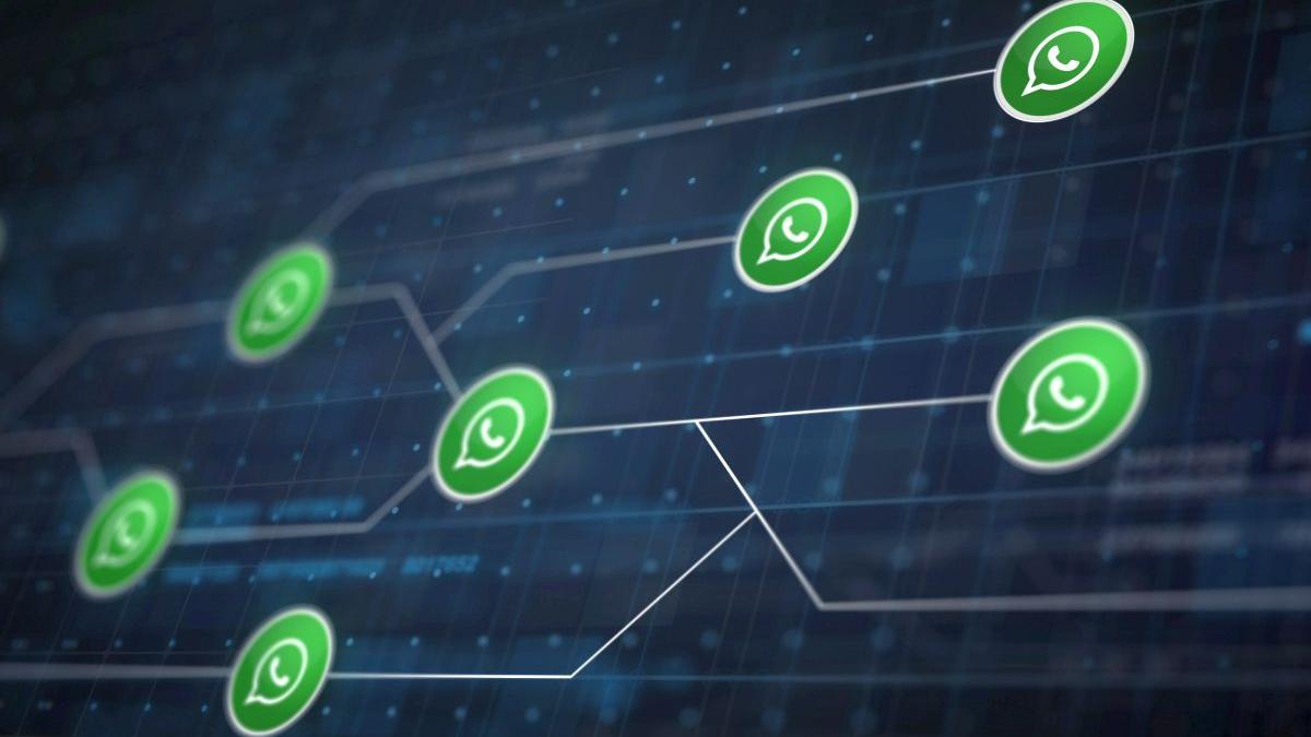 A case study in successfully evading WhatsApp hacking scam