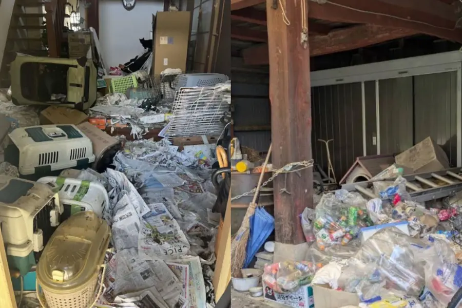 Shocking neglect: Over 100 cats found dead in animal welfare staffer’s ...