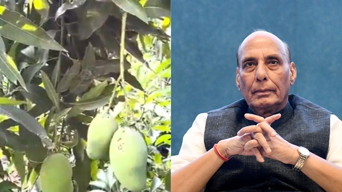 Rajnath Aam: ‘Mango Man’ names new variety after Defence Minister | WATCH