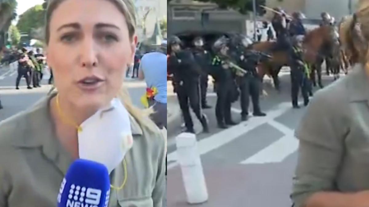 ‘You just shot a reporter’: Video shows LAPD firing at journalist ...