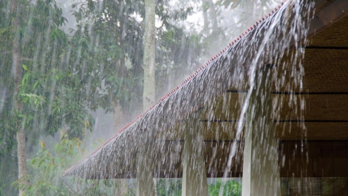 Kerala rains: Kannur, Kasaragod under red alert on Tuesday; more ...