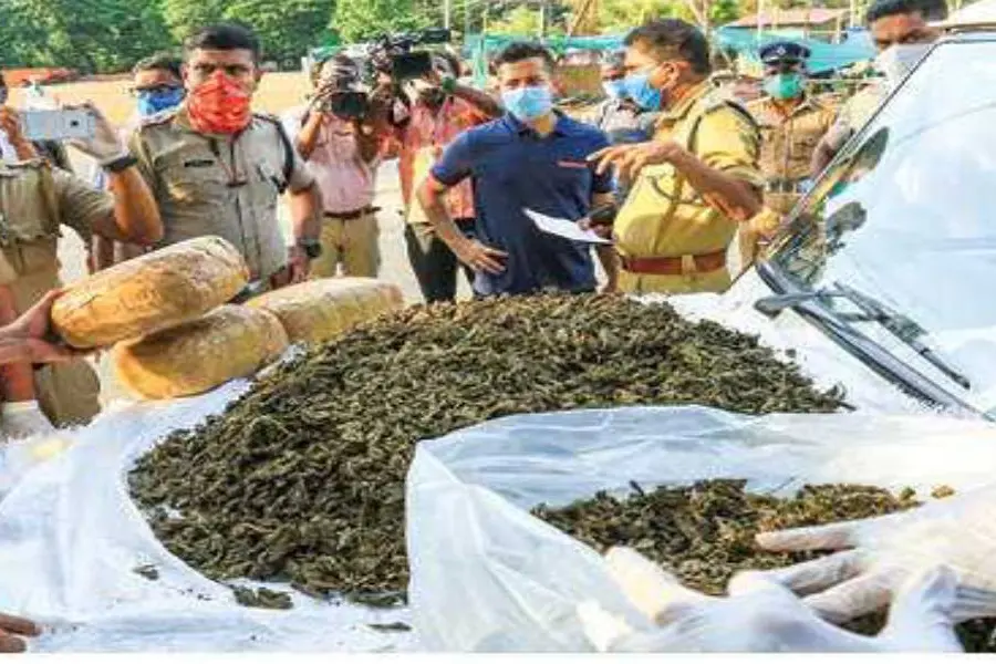 Attempt to smuggle 20 kg ganja in watermelon lorry; 2 arrested in ...