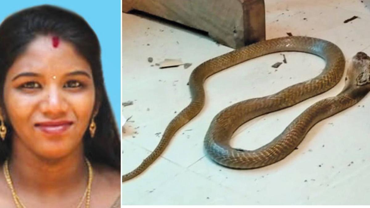 Crime Branch intensifies investigation of Kollam woman's death, caused ...