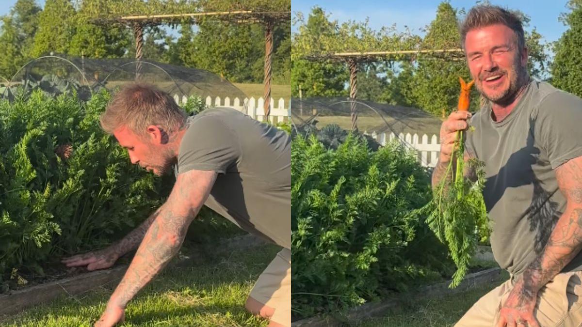 David Beckham shows off his gardening skills, leaves wife Victoria in ...