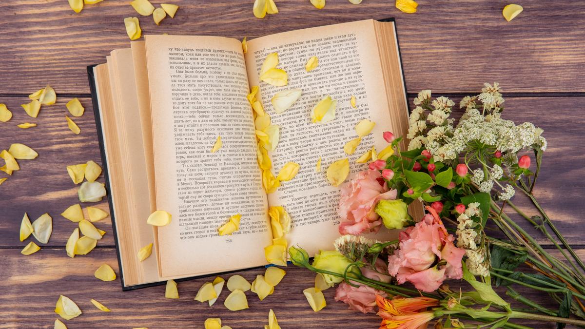 Word of the day, 29 June 2025: ‘Scud’