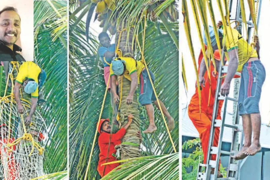 Man dies atop coconut tree in Kochi; body recovered after hours-long ...