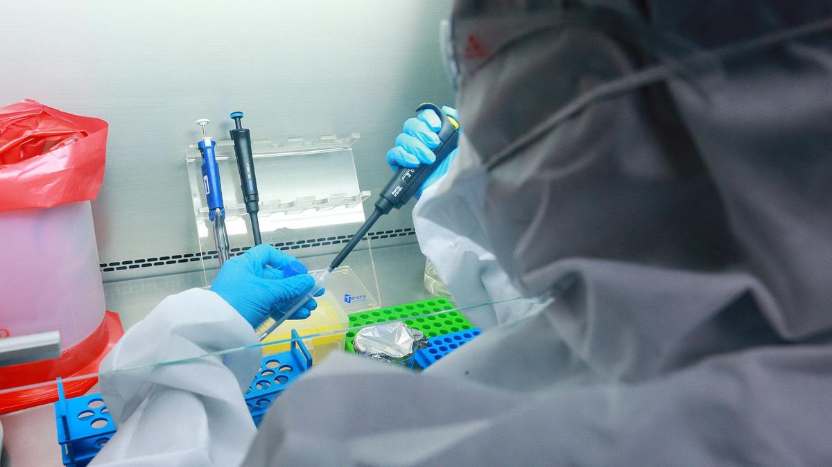 ICMR develops ₹250 Nipah test kit with 100% accuracy, results in 1-2 hours