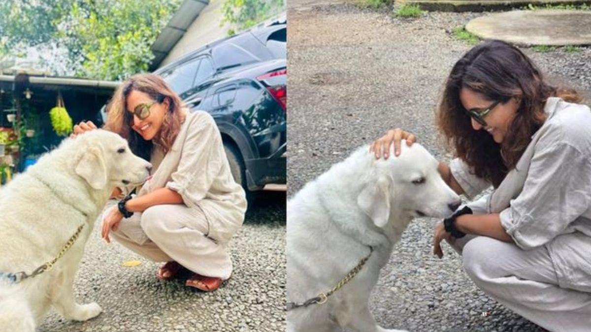 ‘Love fearlessly — they won’t betray you’: Fans respond to Manju’s cute ...