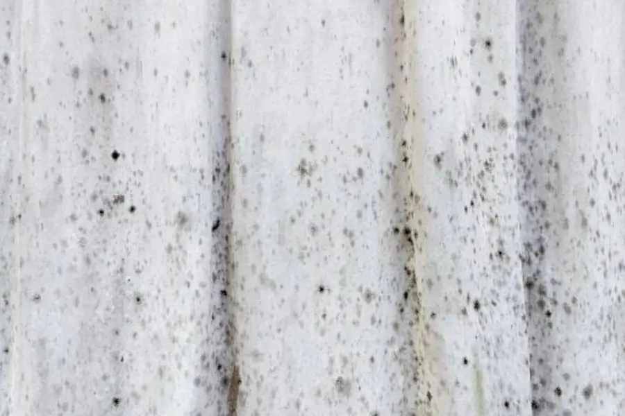 Monsoon mildew? Here’s how to keep your clothes fungus-free and fresh ...