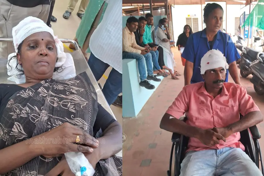 Major lapse at Kollam railway station: Two injured as iron rod falls ...