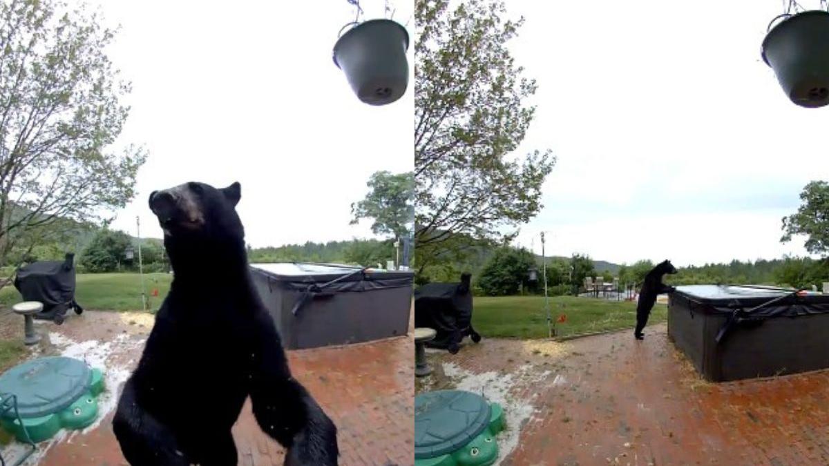 Porno yazmalı i had been hoping to meet her for an extended