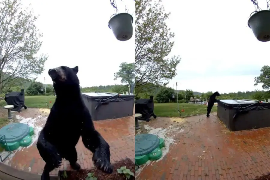 Porno yazmalı i had been hoping to meet her for an extended