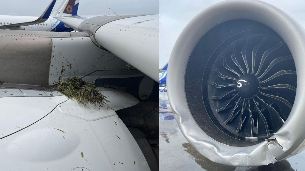 Air India fair india, mumbai airport, runway excursion, kochi, flight ...