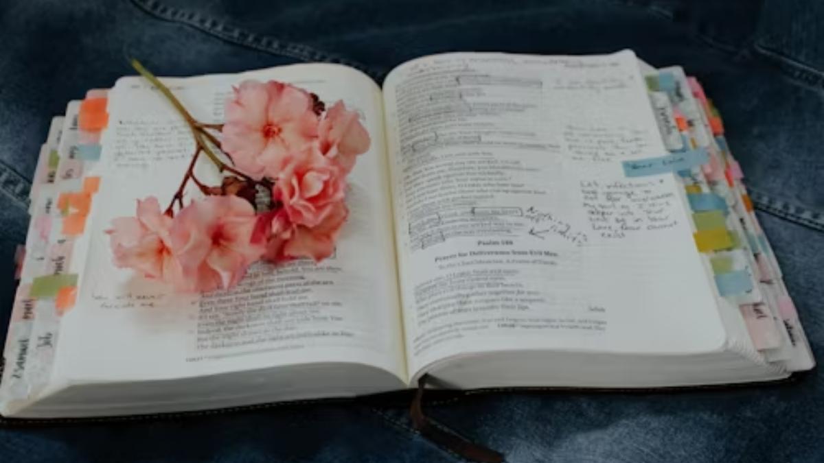 Word of the day, 25 July 2025: ‘Rambunctious’