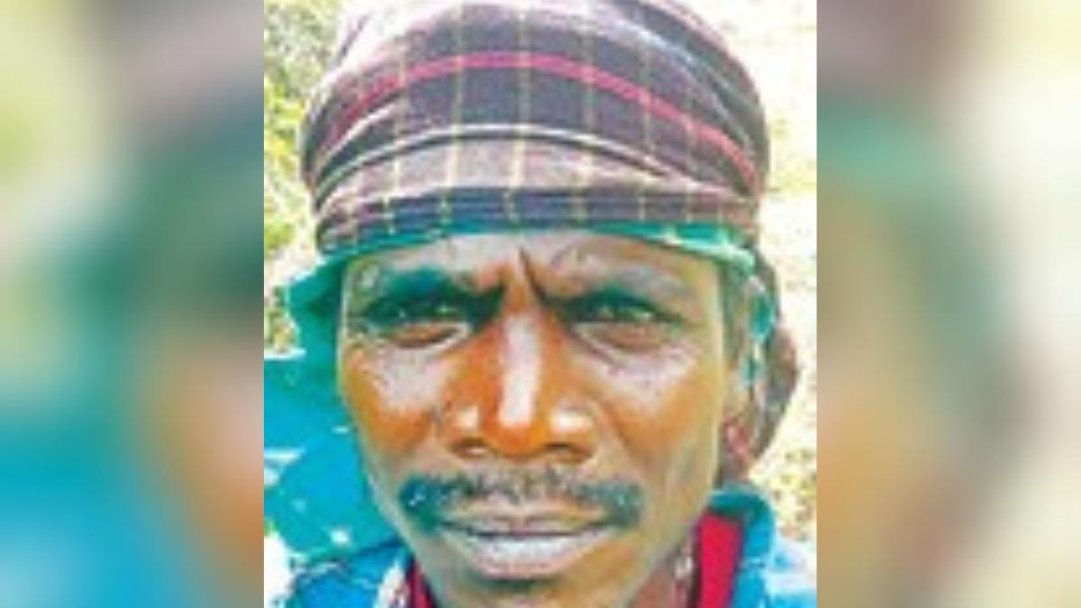 Elephant attack claims life of 40-year-old in Attappadi forest