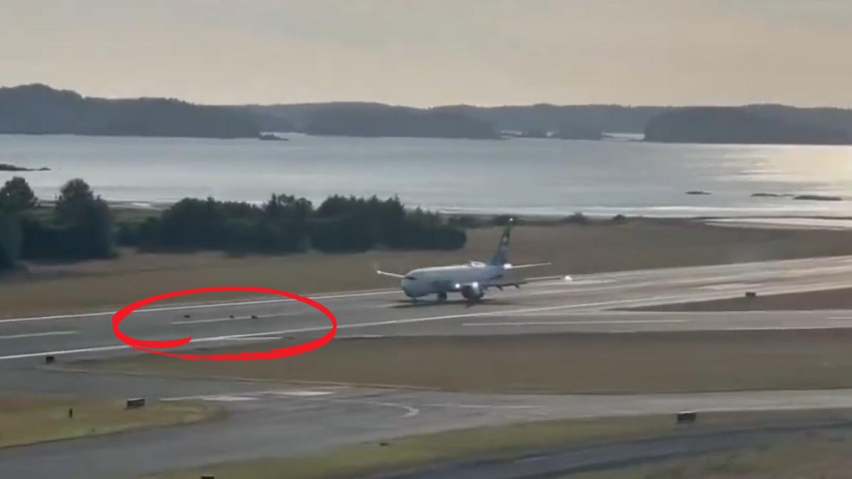 'There is deer on runway': Alaska Airlines plane strikes multiple deer ...