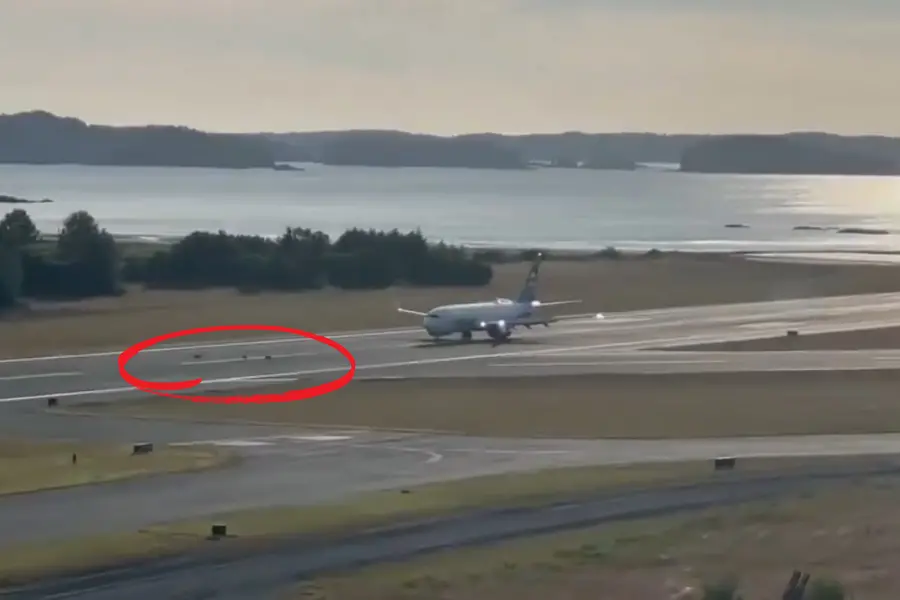 'There is deer on runway': Alaska Airlines plane strikes multiple deer ...