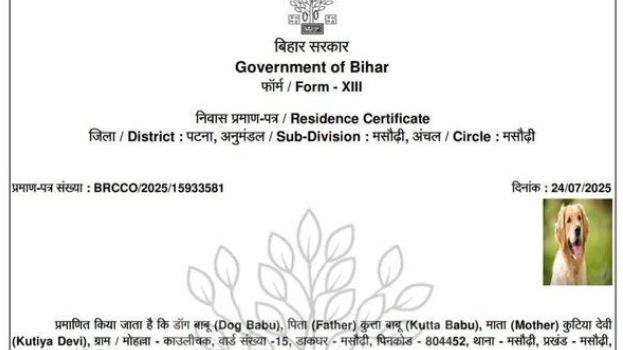 Stray dog issued residence certificate in Bihar, cancelled within ...