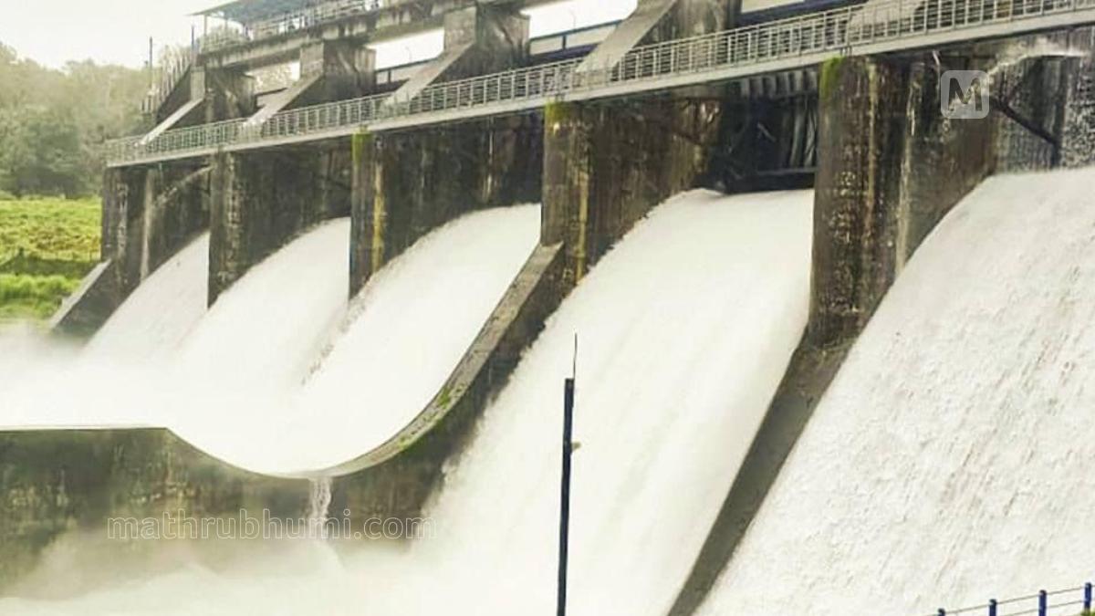 Kerala dams near capacity amid heavy monsoon rains; red alert issued ...