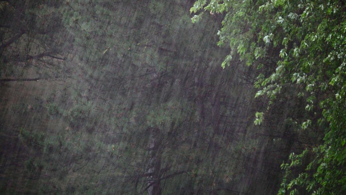 Kerala braces for extremely heavy rain: Red alert in 3 districts on ...