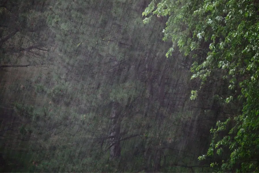 Kerala braces for extremely heavy rain: Red alert in 3 districts on ...