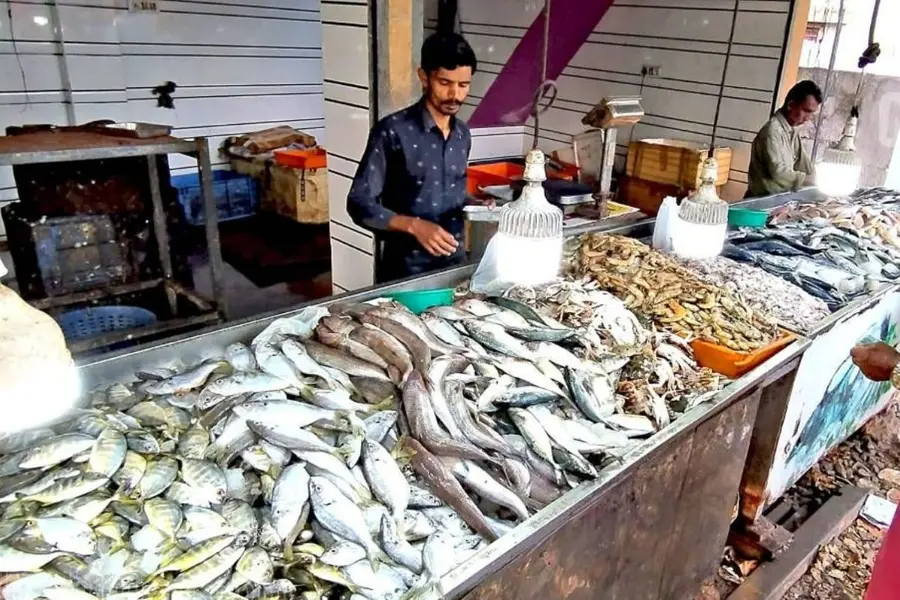 Kerala fish prices drop sharply post trawling ban; Chicken rates also ...
