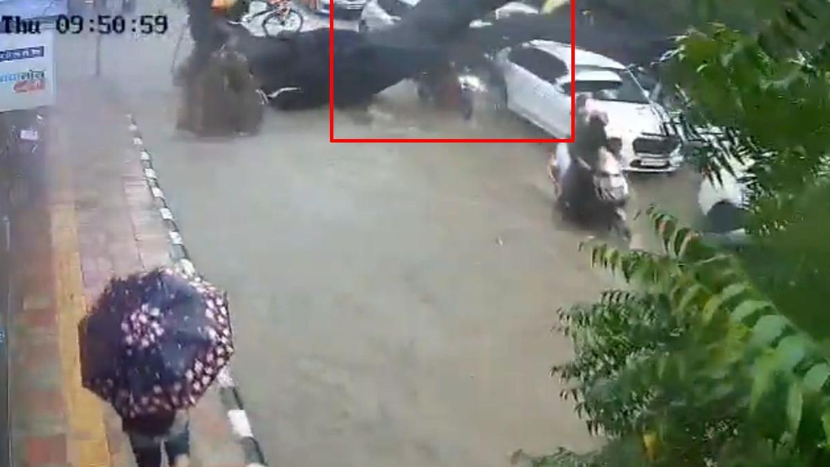 Rain fury in Delhi: Person on bike killed after tree uproots in Kalkaji ...